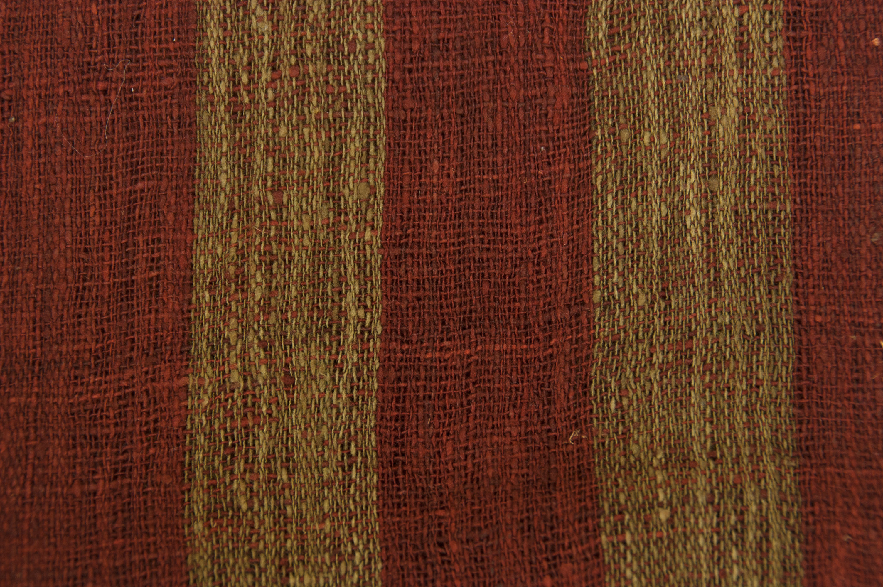 Wild silk scarf paradise flycatcher - Counting Flowers